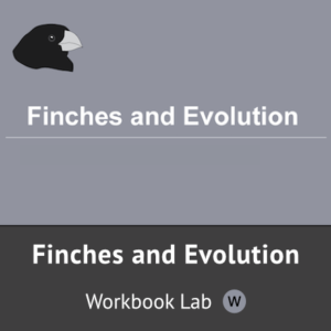 Finches & Evolution | SimBio
